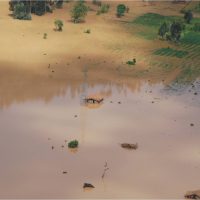 Albertine Rift Conservation Society (2011) - JRS Biodiversity Foundation