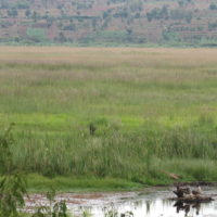 Albertine Rift Conservation Society (2018) - JRS Biodiversity Foundation