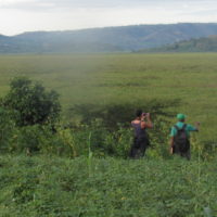 Albertine Rift Conservation Society (2018) - JRS Biodiversity Foundation