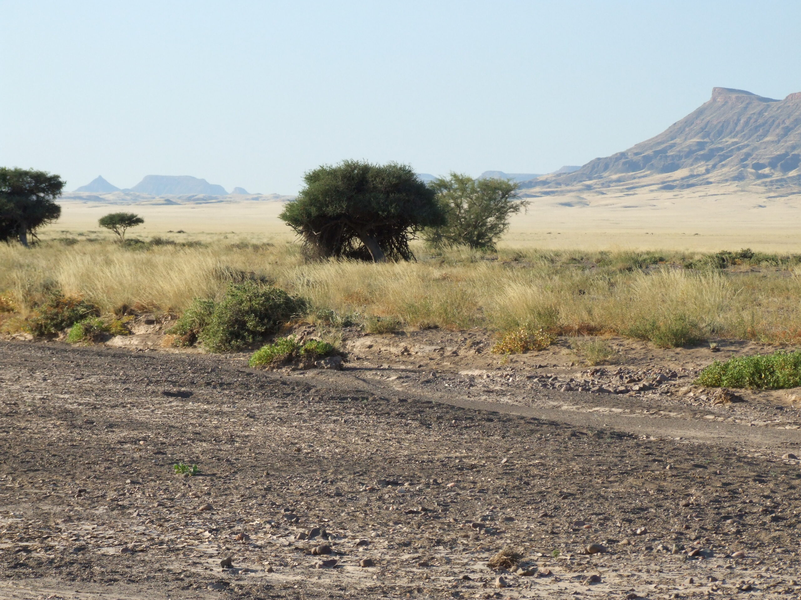 Namibian Chamber of Environment (2023) - JRS Biodiversity Foundation