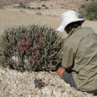 Namibian Chamber of Environment (2023) - JRS Biodiversity Foundation